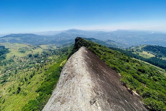 The birdwatchers quest through Hanthana Mountain Range  Kandy - Authenticness and Local Expertise
