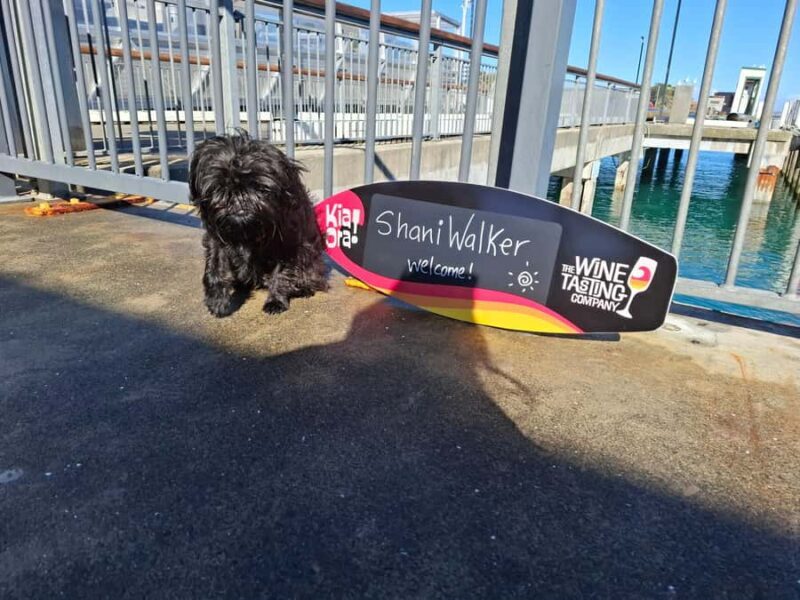 The Boutique Experience: Waiheke Island Best Cellar Tour - Key Points