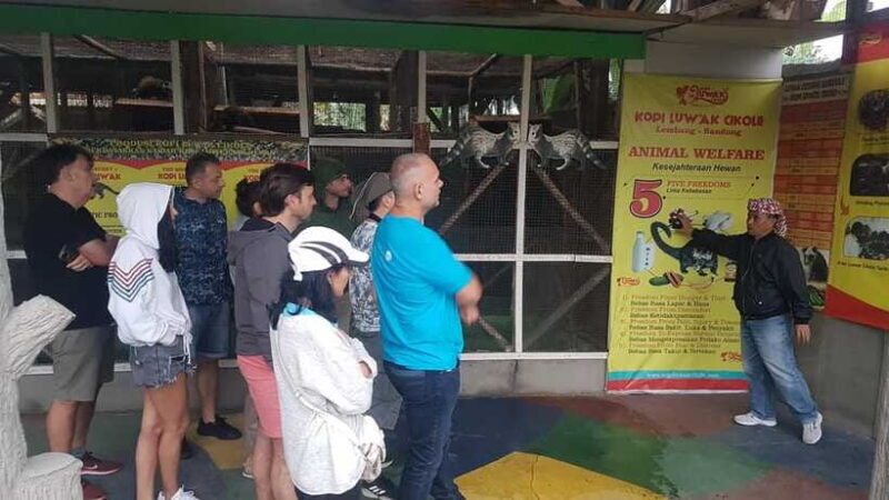 The Breathtaking Views Of The Countryside In Bandung - Practical Details and Value