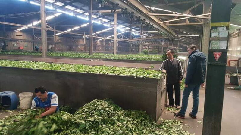 The Breathtaking Views Of The Countryside In Bandung - The Sum Up: Who Will Appreciate This Experience?