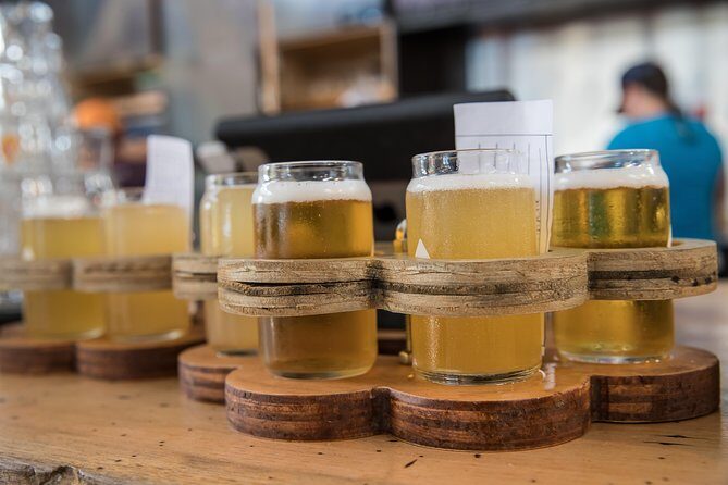 The Brew Bus: Austin Brewery Tour with Live Band - Who Is This Tour Best For?