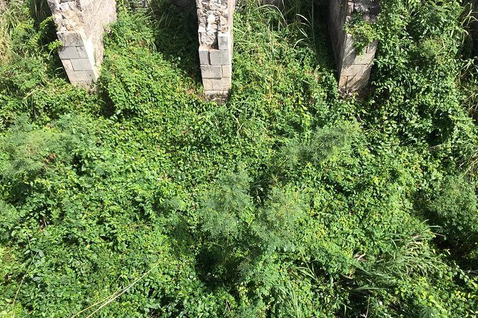 The Brimstone Hill Fortress Hike - The Fortress and Its Heritage