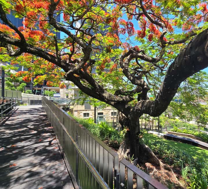 The Brisbane Experience: City Walking Tour - The Tour Itinerary in Detail