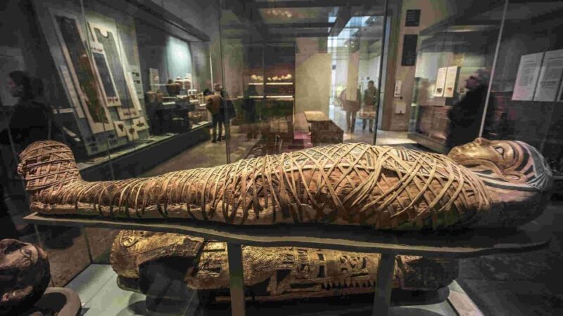 The British Museum London: Private Guided Tour - 3 hour - Key Points