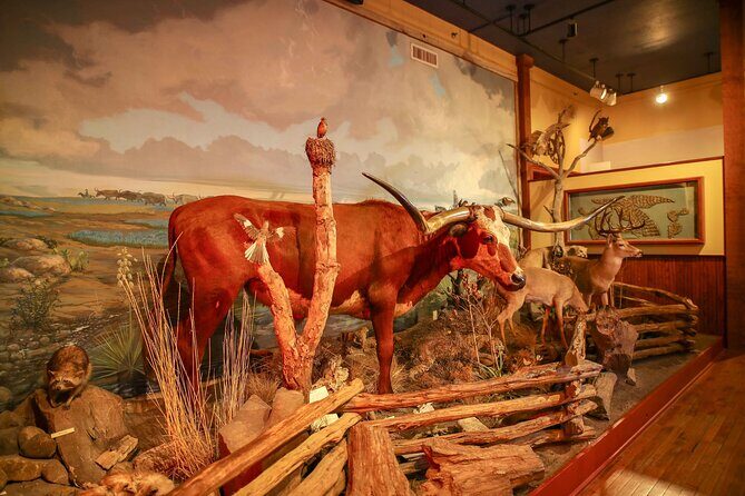 The Buckhorn Saloon & Museum and Texas Ranger Museum Admission - Practical Details and Tips for Visiting