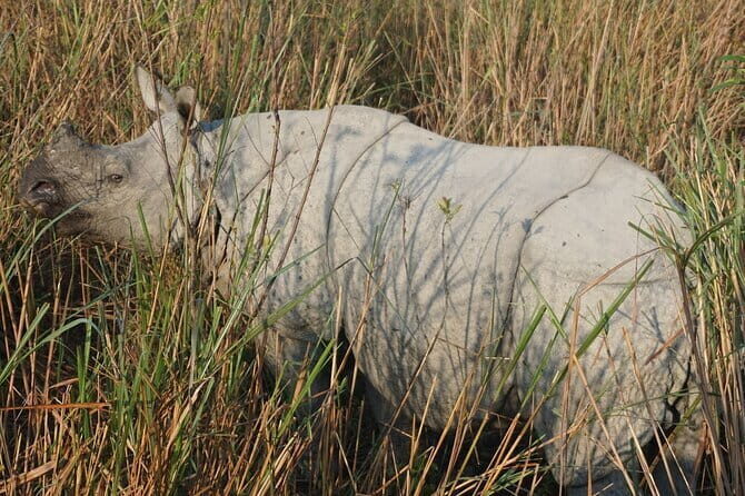 The Buddhist Monasteries Tour of Bomdila, Tawang & Dirang - Frequently Asked Questions