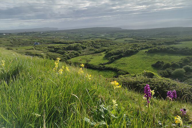 The Burren and Cliffs of Moher Full Day Private Tour from Galway - Who Will Enjoy This Tour?