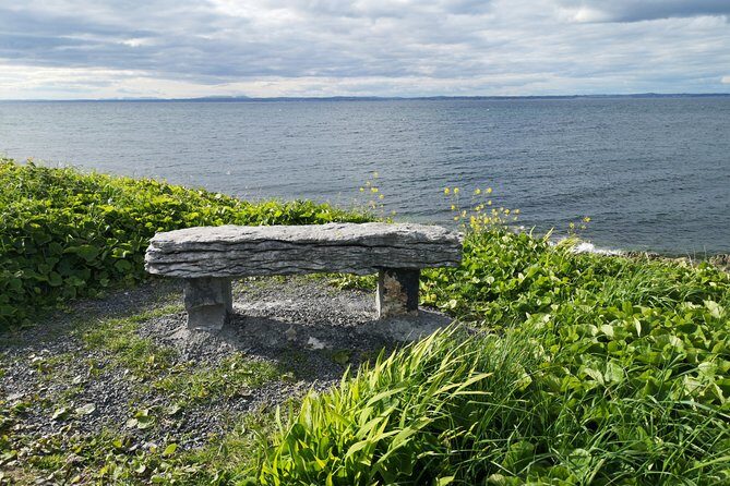 The Burren and Cliffs of Moher Full Day Private Tour from Galway - FAQ