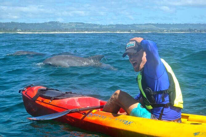 The Byron Bay Sea Kayak Tour - The Practical Side: What’s Included and What’s Not