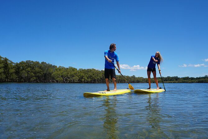 The Byron Bay Sea Kayak Tour - Real Experiences: What Tourists Say