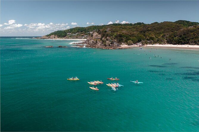 The Byron Bay Sea Kayak Tour - The Price and Its Value