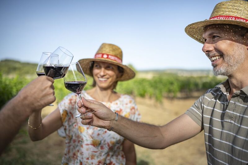 The Châteaux of Grès de Montpellier & Wine Tasting - Scenic and Cultural Highlights