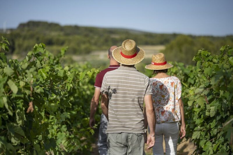 The Châteaux of Grès de Montpellier & Wine Tasting - Final Thoughts: Is This Tour Right for You?
