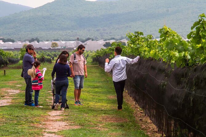 The Cheese and Wine Route - FAQ