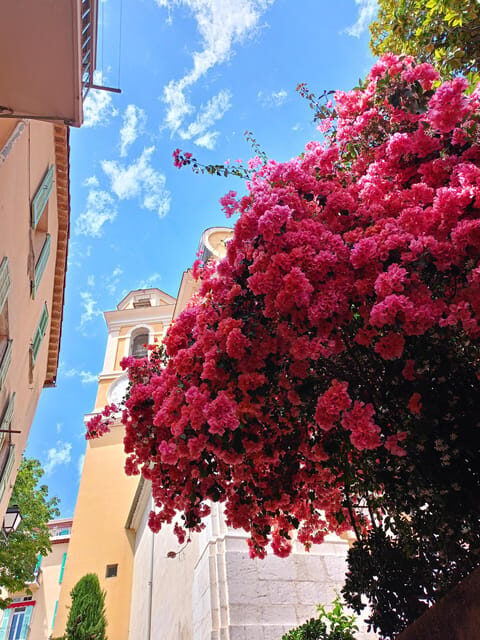 The Coastal Path hike from Nice to Villefranche - Who Would Love This Experience?
