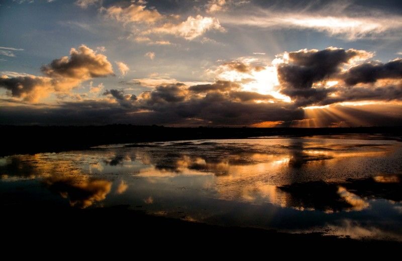 The Colors of Ria Formosa: Sunset Boat Trip in Faro - The Bottom Line