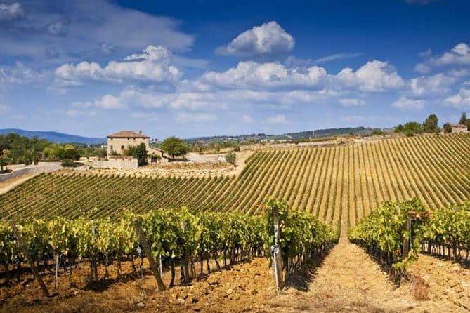 The Complete Wine Tour Brunello, Nobile, Chianti wine experience - Unpacking the Experience: Whats Truly Valuable