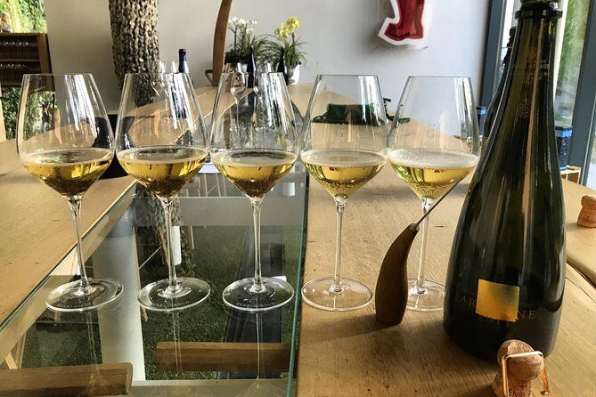 The Connoisseurs from Reims (Private Half day Tour) - What to Expect from This Champagne Tour