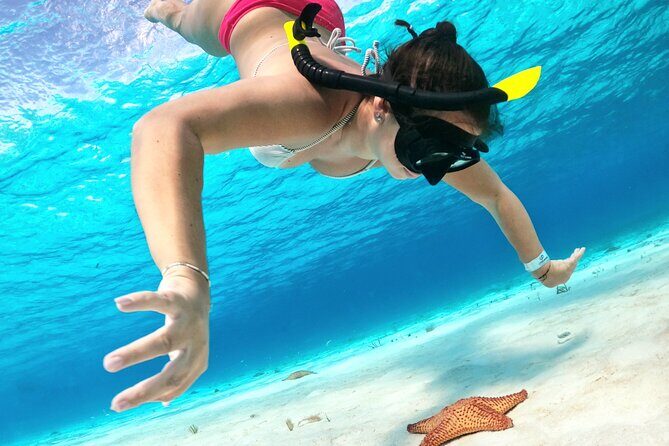 The Cozumel Turtle Sanctuary Snorkel Tour - The Experience Through the Eyes of Travelers