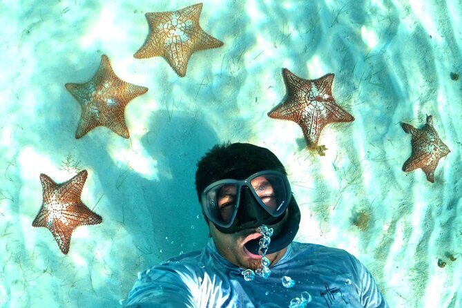 The Cozumel Turtle Sanctuary Snorkel Tour - Price and Value Analysis