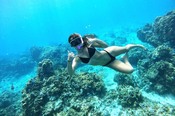 The Cozumel Turtle Sanctuary Snorkel Tour - Frequently Asked Questions