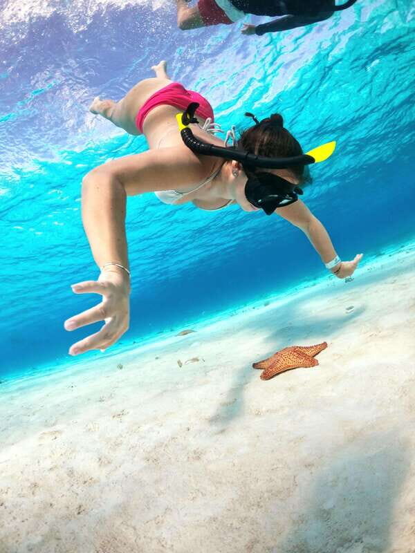 The Cozumel Turtle Sanctuary Snorkel Tour - Comparing Value and Experience
