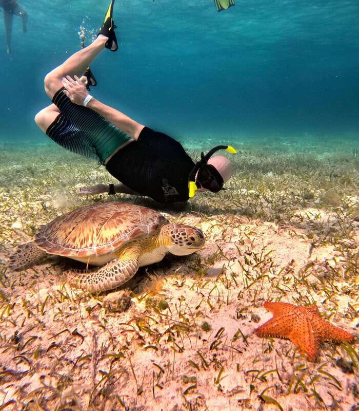 The Cozumel Turtle Sanctuary Snorkel Tour - Practical Tips for Your Trip