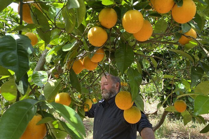 The Cretan Way of Life at the mountains of Rethymno (Mylopotamos) - Who Will Appreciate This Tour?
