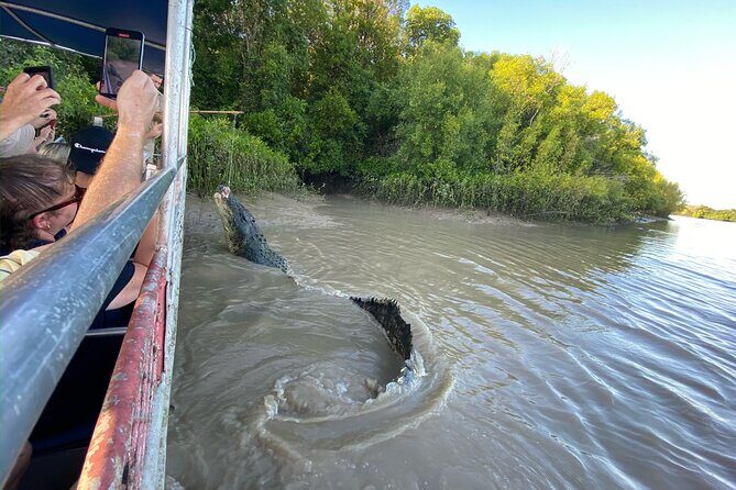 The Croc Bus to the Famous Jumping Crocodile Cruise - Final Thoughts: Who Will Love This Tour?