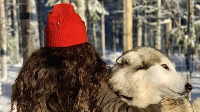 The Cuddly Wolf - Private Tour - FAQ