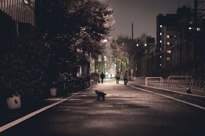 The Dark Side of Osaka Walking Tour - Who Should Sign Up for This Tour?