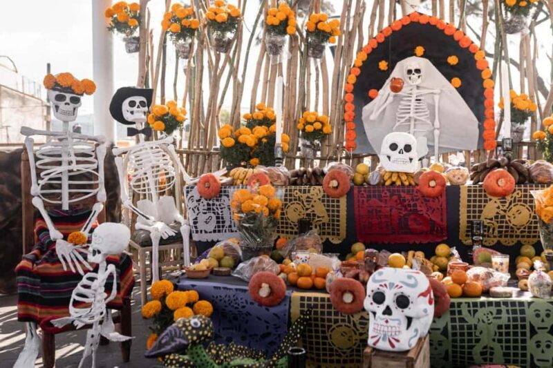 The Day of the Dead Private Tour in Mexico City - Practical Considerations