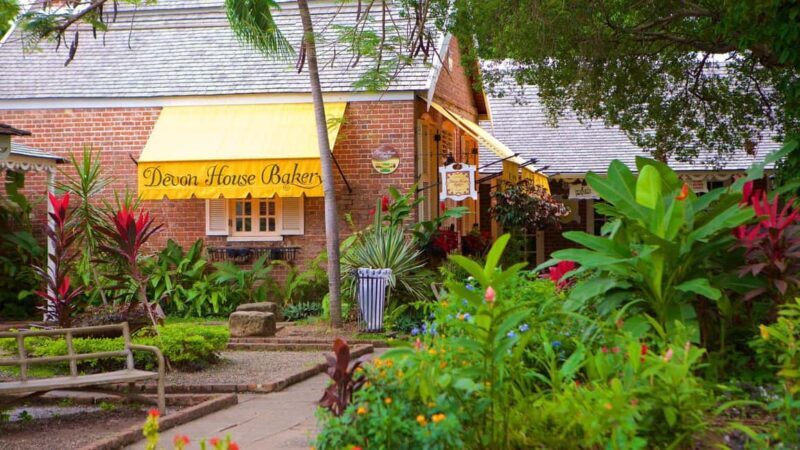 The Devon House Guided City Tour - An Introduction to Kingston’s Heart and Soul