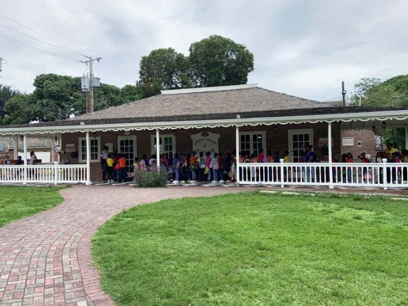 The Devon House Guided City Tour - Who Should Consider This Tour?