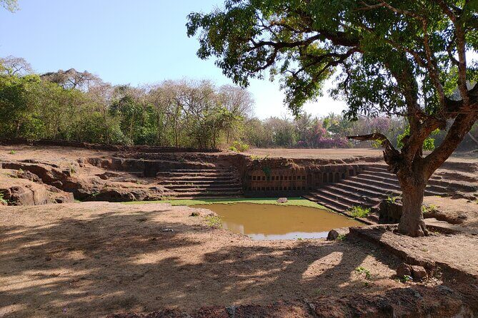 The Divar Island Exploration - The Journey Begins: What to Expect