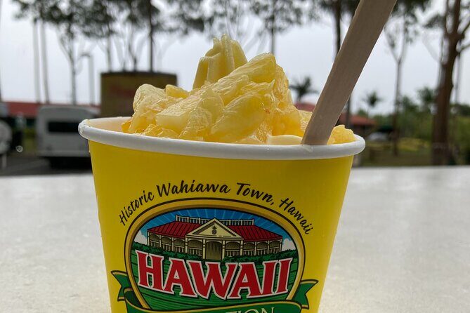 "The Dole Plantation" & "North Shore" Private Limousine VIP Tour! - Transport, Timing, and Experience Quality