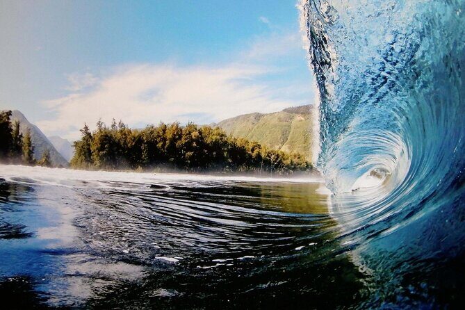 "The Dole Plantation" & "North Shore" Private Limousine VIP Tour! - Who Should Book This Tour?