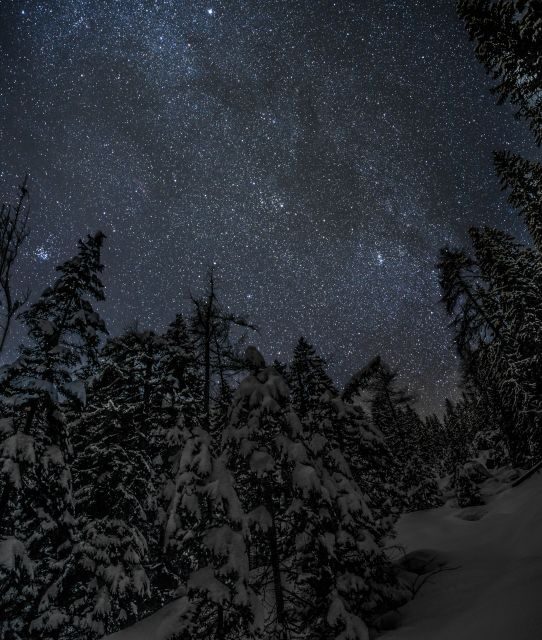 The Dolomites at night with snowshoes - Authentic Insights from Reviews