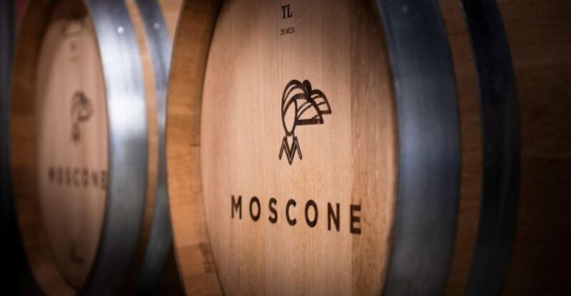 The Dosman: Winetasting in La Morra - The Tasting Experience: Food and Atmosphere