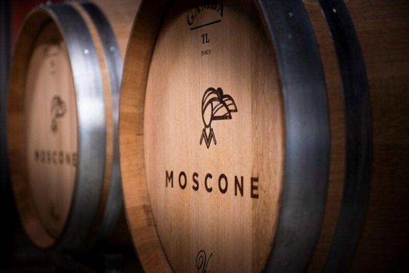 The Dosman: Winetasting in La Morra - The Cellar Tour and Production Insights