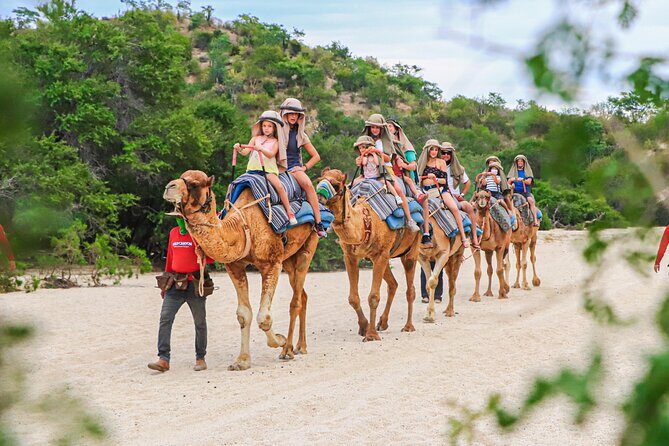 The Dual Experience Combo - The Sum Up