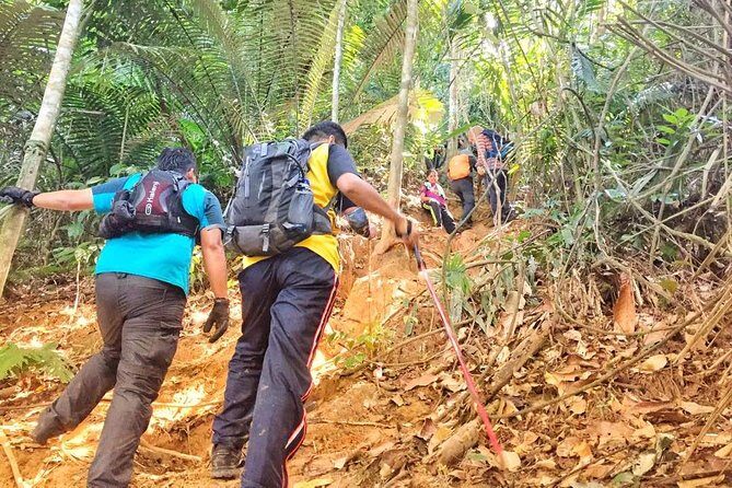 The Dusun : Jungle Trekking Adventure to Waterfall with Jungle Guide - Key Points