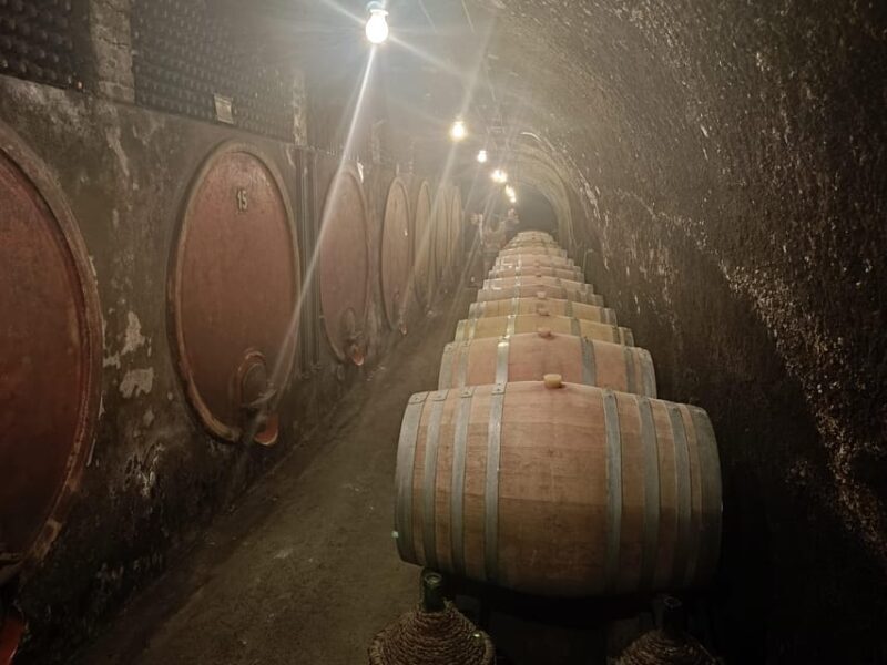 The Dying City "Civita Bagnoregio" w/wine tasting from Port - The Value of This Tour