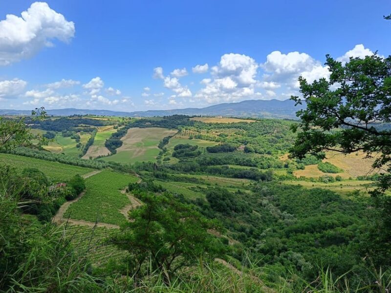 The Dying City "Civita Bagnoregio" w/wine tasting from Port - FAQs about the Civita di Bagnoregio & Wine Tasting Tour