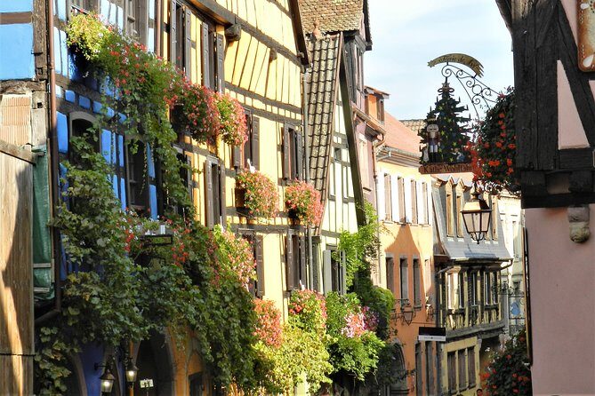 The Emblematic: visit of villages, Haut-Koenigsbourg, Wine tasting - A Final Word