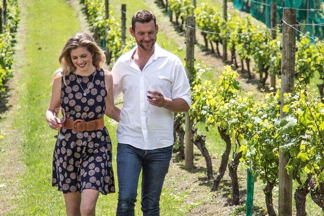 The Essence of Waiheke Wine Tour - An In-Depth Look at the Tour