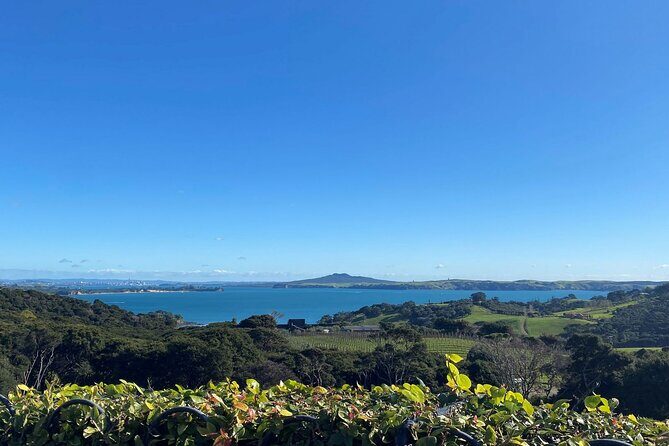 The Essence of Waiheke Wine Tour - The Sum Up: Is It Worth It?