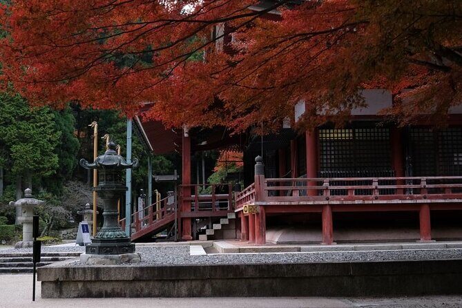 The Essence of Water in Japan 4 Days Charter Car Tour from Kyoto - How This Tour Balances Comfort, Culture, and Experience