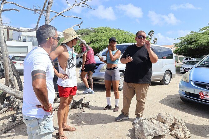 The Essential Island Highlights Tour - Who Should Consider This Tour?