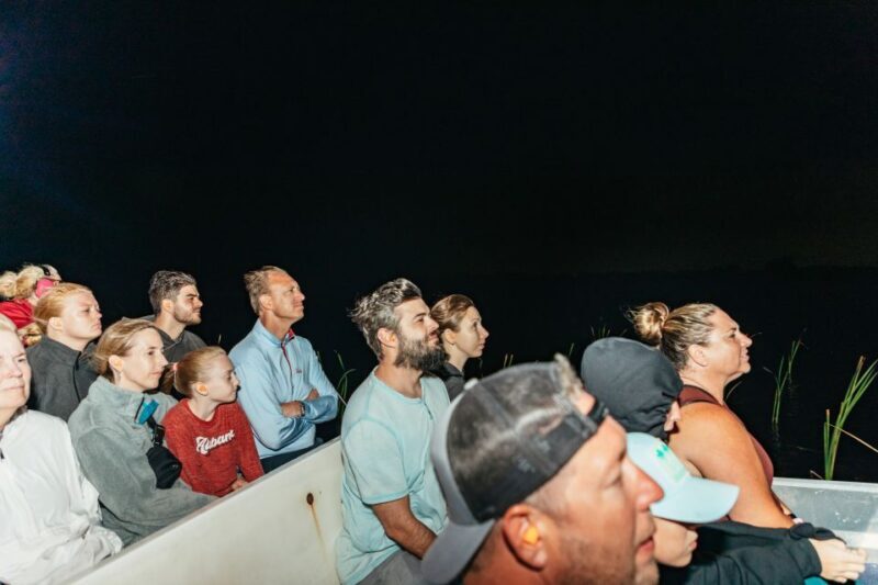 The Everglades: 1-Hour Airboat Night Tour - The Itinerary: How the Night Unfolds